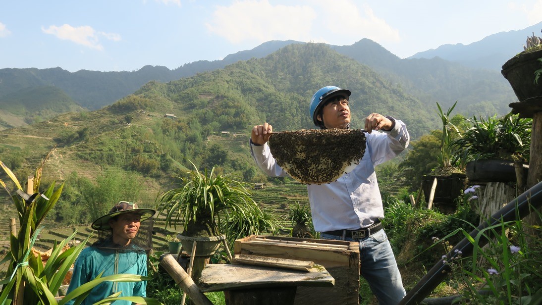 Native Honey Bees of Southeast Asia and Conservation Challenges ...