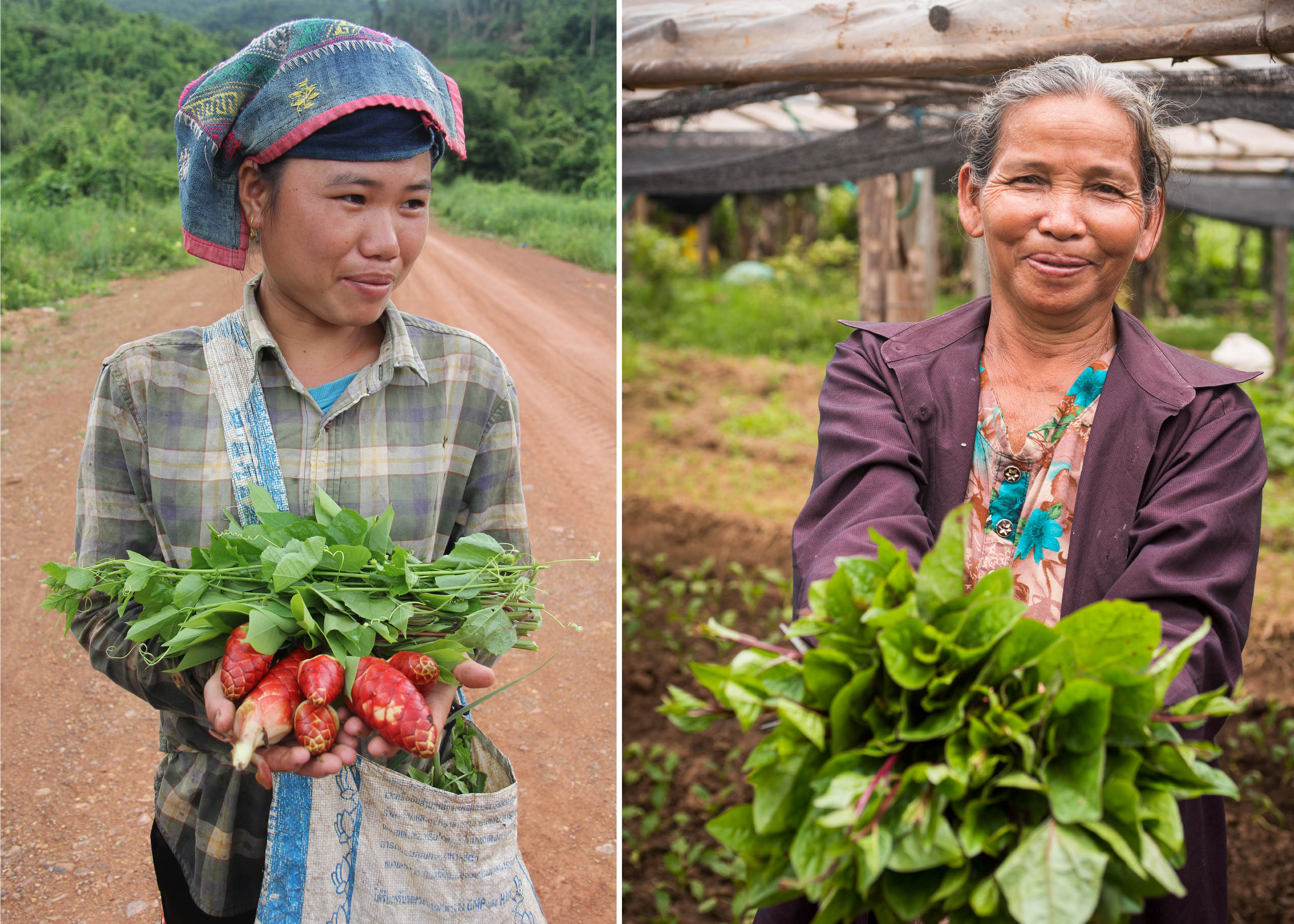Enabling an Equal World for Indigenous Women in the Time of Climate ...