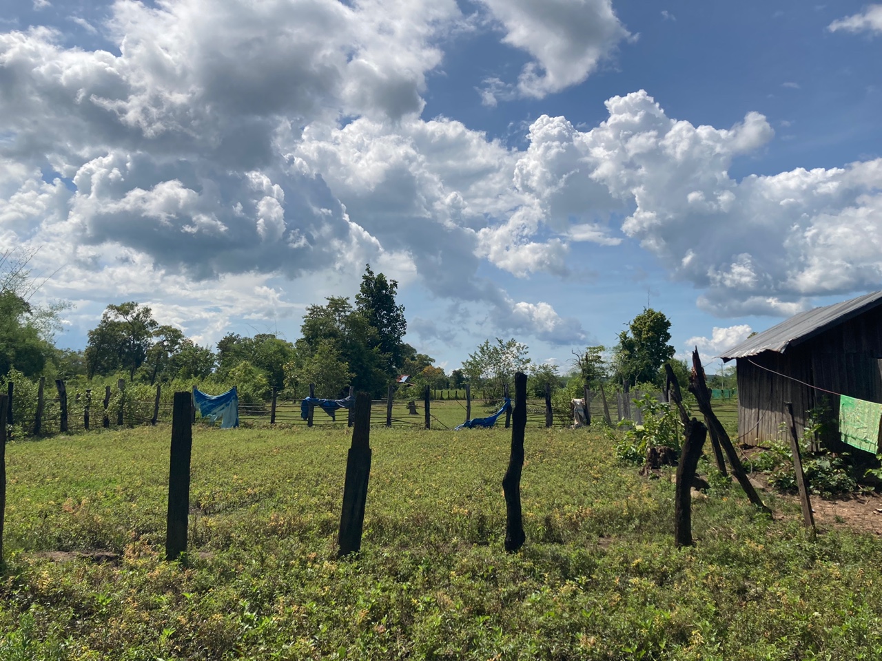 Titling Land, Fragmenting Livelihoods: Indigenous Communal Land Titling ...