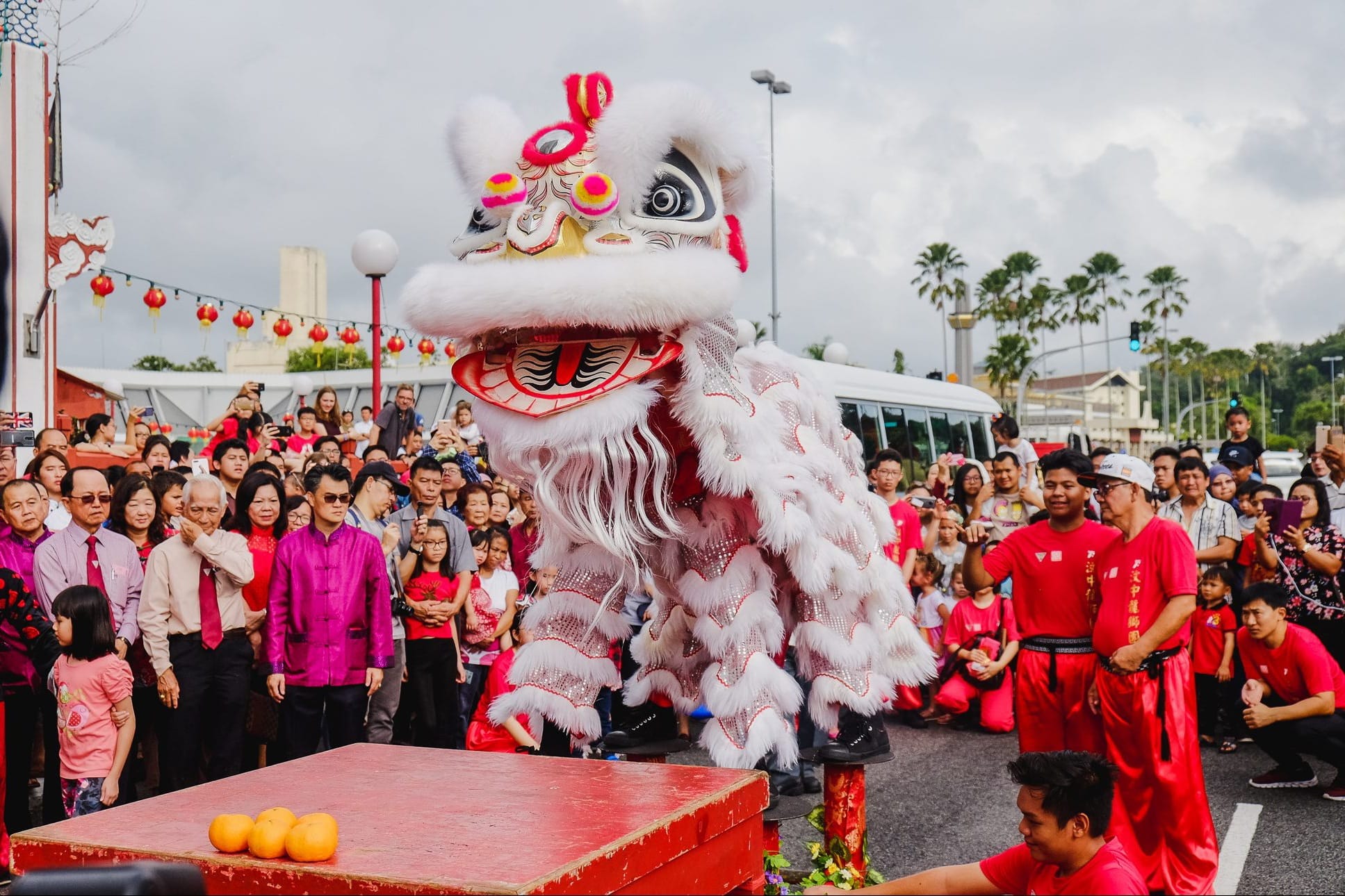 Communities, Cultures, and Challenges of the Chinese in Brunei ...