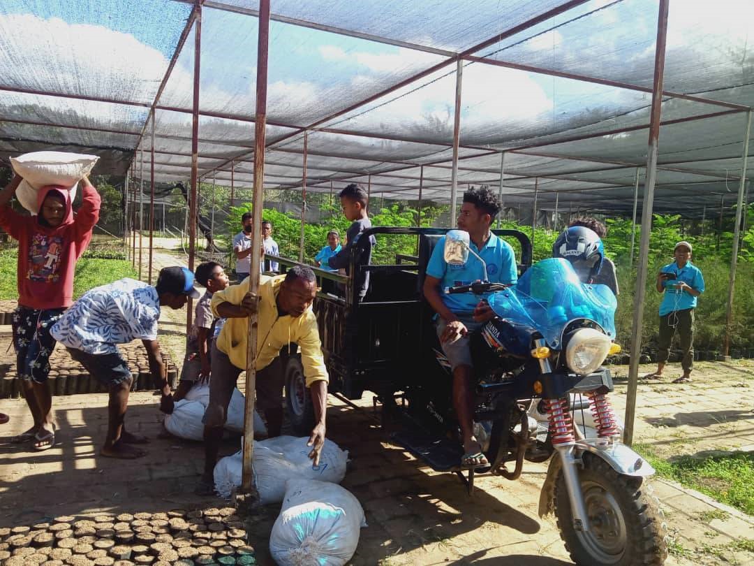 The Power and Potential of Timor-Leste’s Youth in Economic ...
