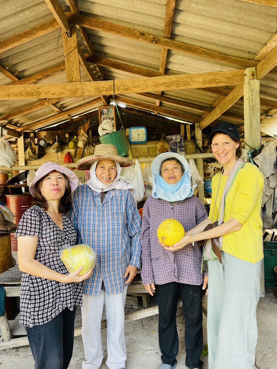 Harmony on the Plate: Unraveling the Nexus of Health, Nutrition, and ...