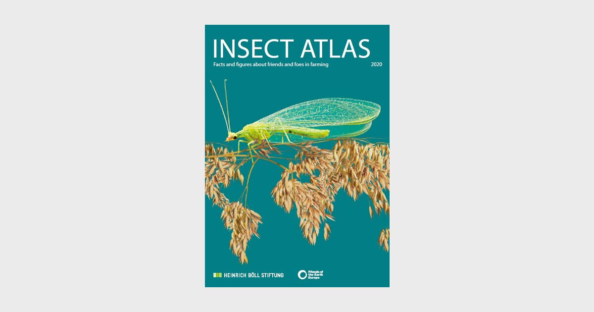 Insect Atlas | Heinrich Böll Foundation | Southeast Asia