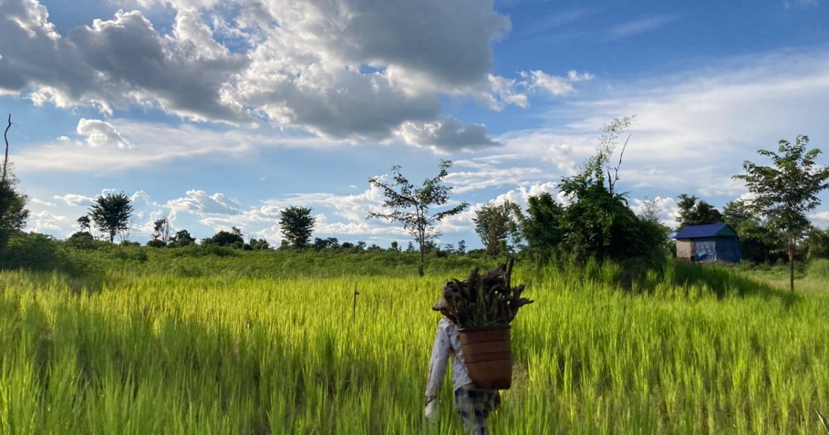 Titling Land, Fragmenting Livelihoods: Indigenous Communal Land Titling ...