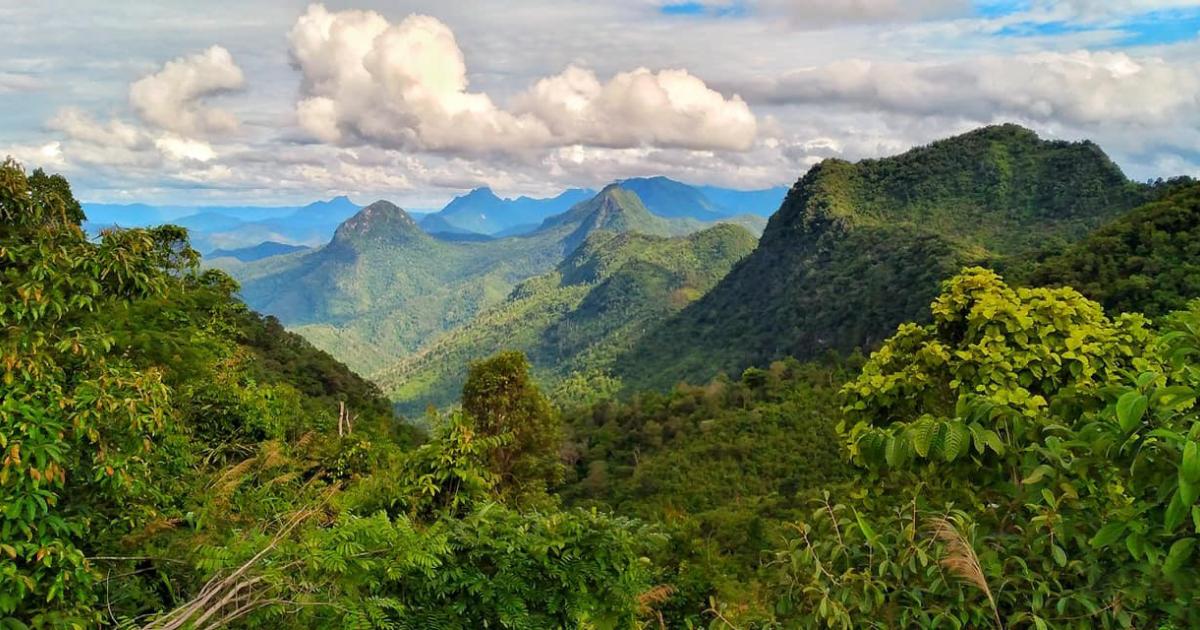 Ethnic Karenni Protect Their Forests Based on Customary Beliefs ...