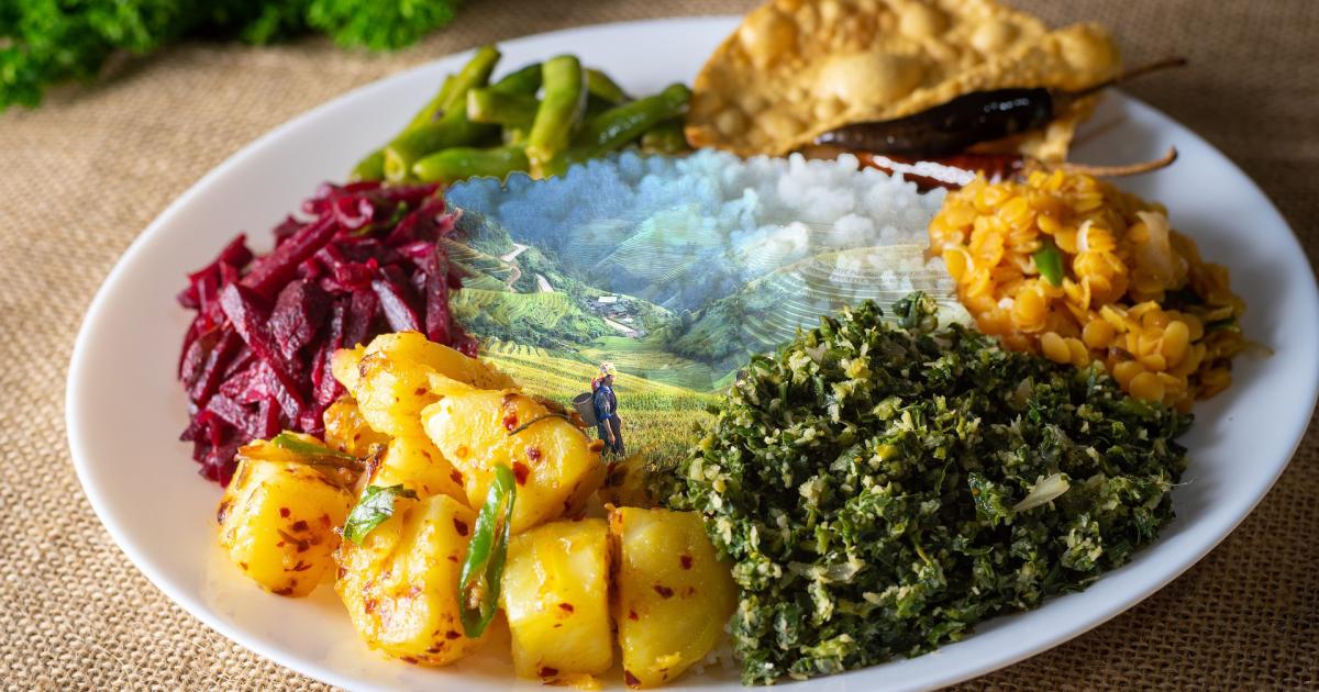 Harmony on the Plate: Unraveling the Nexus of Health, Nutrition, and ...